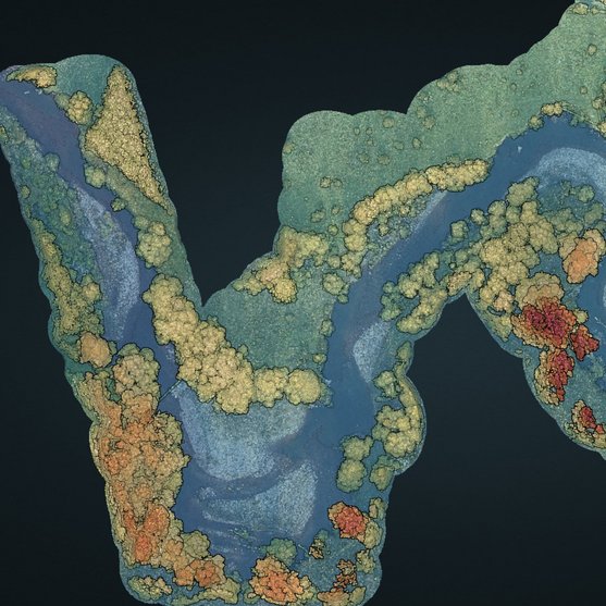 Coastline & Shallow Water Survey: Where water meets land, changes take ...