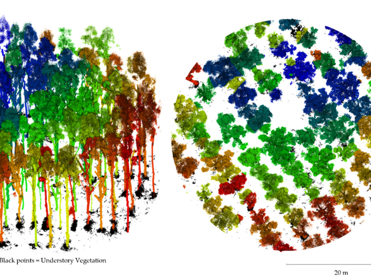 Forest Structural Complexity Tool—an Open Source Fully Automated Tool For Measuring Forest